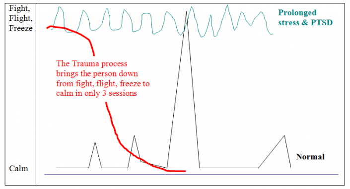 Trauma Therapy Fremantle